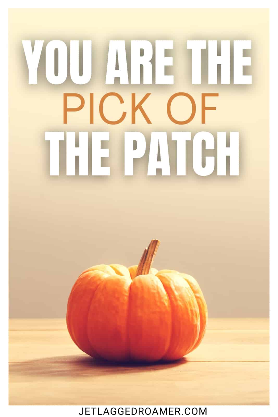 120 Pumpkin Patch Captions For Instagram To Let Your Gourd Down Jr